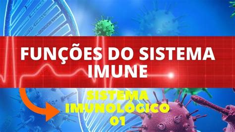 FUNÇÕES DO SISTEMA IMUNE SISTEMA IMUNOLÓGICO AULA 1 YouTube