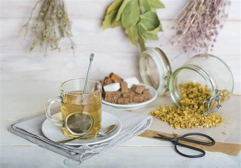 5 Infusiones Efectivas Para Calmar Los Nervios Antes De Un Examen