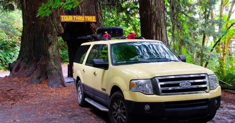 Best Year Ford Expedition Carshtuff