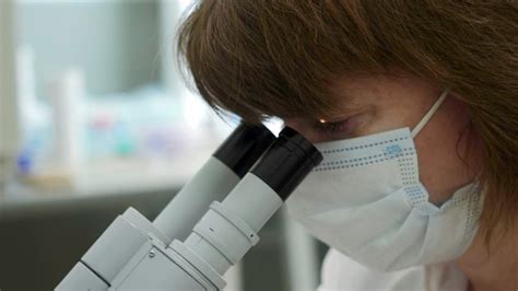 Mujer mira a través del microscopio en laboratorio material de archivo