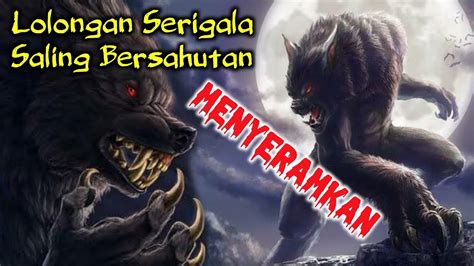 Bikin Merinding Suara Lolongan Serigala Bersahutan Di Malam Hari