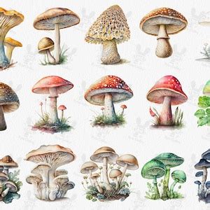 Mushroom Watercolor Clipart Watercolor Forest Art Fantasy Etsy