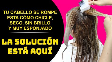 Arriba Imagen Recetas Para Recuperar El Cabello Da Ado Abzlocal Mx