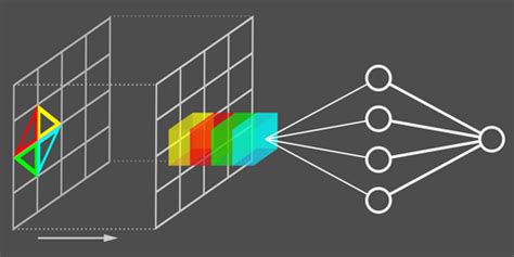 physics viewpoint neural networks identify topological phases