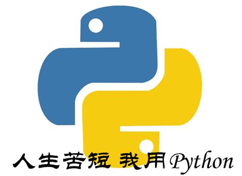 python中集合的常用方法