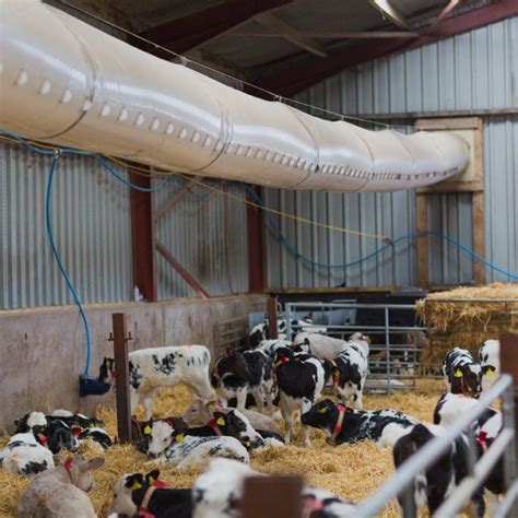 New Ventilation Products For Calf Housing Smaller Cow Sheds And Equine