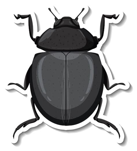 Strona 8 Biedronka Clip Art Zdjęcia darmowe pobieranie na Freepik