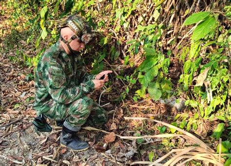 Octava Divisi N Del Ej Rcito Nacional On Twitter Lo Ltimo En