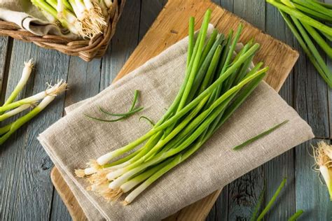 Cebollino y cebolla tierna Cuál es la diferencia NewFoodHub