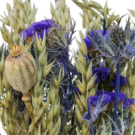 Floristik24 Nl Boeket Droogbloemen Boeket Weidebloemen Blauw H50cm 100g