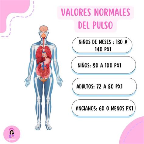 Valores Normales Pulso Carina Noriega Udocz