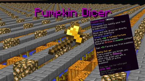 Minecraft Hypixel SkyBlock Pumpkin Dicer Testing YouTube