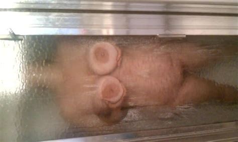 Xhamster