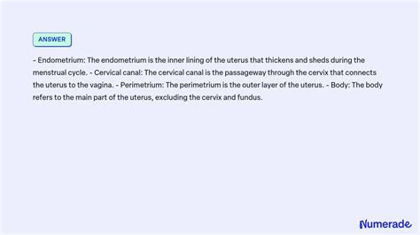 SOLVED Correctly Label The Following Structures Of The Female