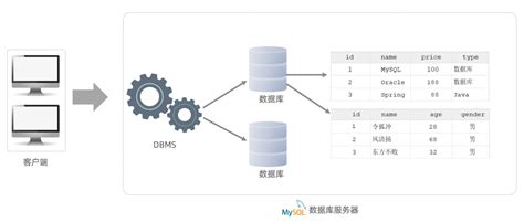 mysql入门到精通？ 乐心湖 s blog 技术小白的技术博客