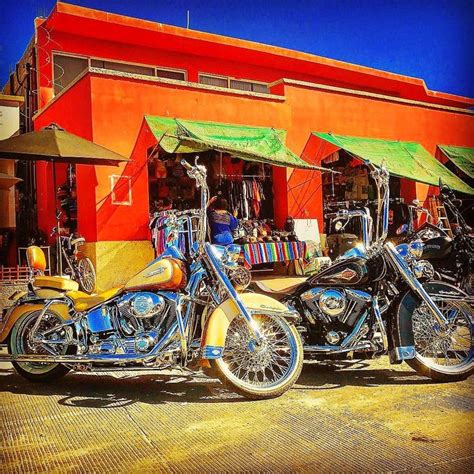 212 curtidas 3 comentários Harley Davidson Softail softailgram no