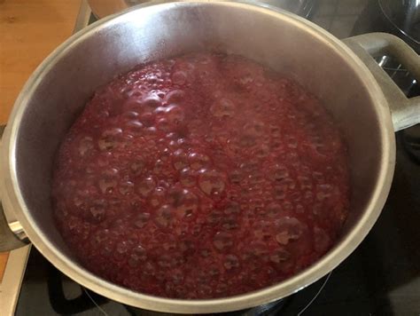 Aronia In Sirup Miteigenenhaenden