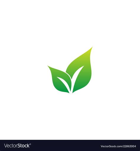 Green Leaf Organic Nature Logo Royalty Free Vector Image