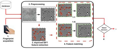 applied sciences free full text robust fingerprint minutiae extraction and matching based on