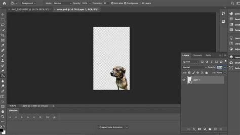 Como Redimensionar Imagens No Photoshop Um Guia Abrangente