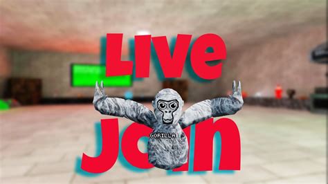 Gorilla Tag City Revamp With Fans Youtube