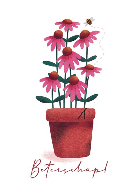Beterschapskaart Met Bloemen In Pot Kaartje2go