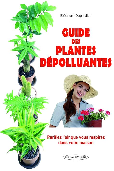 Amazon fr Guide des plantes dépolluantes purifiez l air que vous