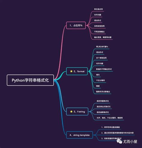 55个案例：吃透python字符串格式化 轻识