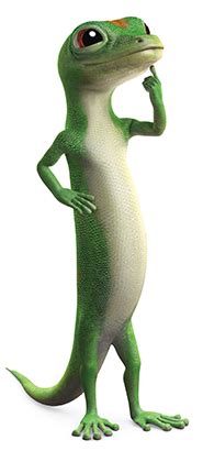 Geico Home Insurance Claim Number Review Home Co