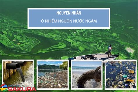 Ô nhiễm nguồn nước ngầm Nguyên nhân thực trạng và giải pháp