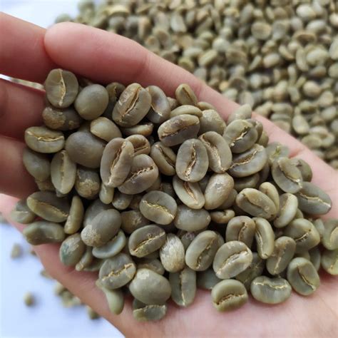 Aceh Gayo Arabica And Robusta Green Beans Inaexport