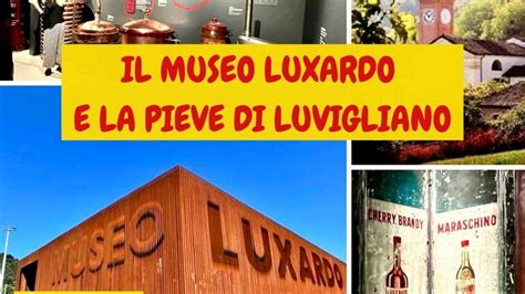 Alla Scoperta Delle Meraviglie Dei Colli Euganei Tra La Pieve Di