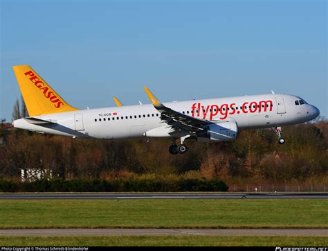 TC DCB Pegasus Airbus A320 214 WL Photo by Thomas Schmidt Blindenhöfer
