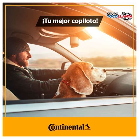 21 de Julio día del Perro Continental Grupo Tocollanta