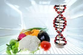 TRIDIMENSIONALIDAD DE LA NUTRICIÓN DIMENSIÓN BIOLÓGICA