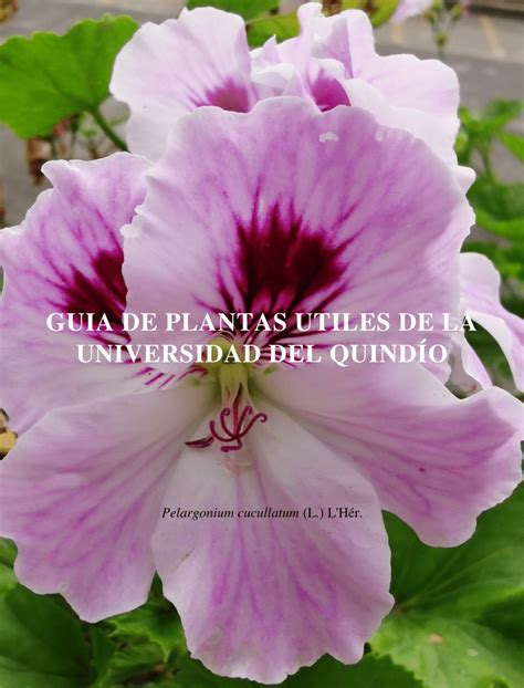 PDF GUIA DE PLANTAS UTILES DE LA UNIVERSIDAD DEL QUINDIO