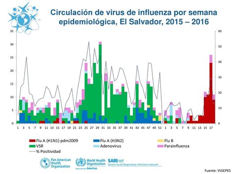 Vigilancia De Influenza Y Sistemas De Monitoreo Ppt Descargar