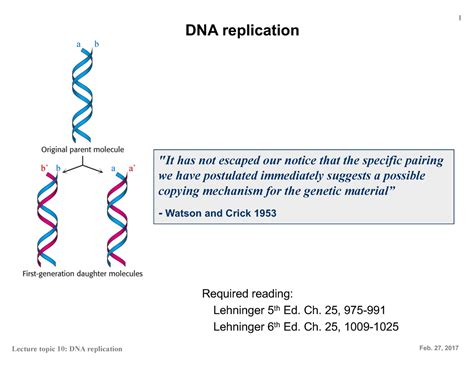 lecture 10 dna replication pdf oct 28 30 2015 dna replication required reading lehninger 5