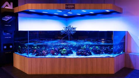 Getting INSIDE Worldwide Corals MASSIVE Mangrove Lagoon YouTube