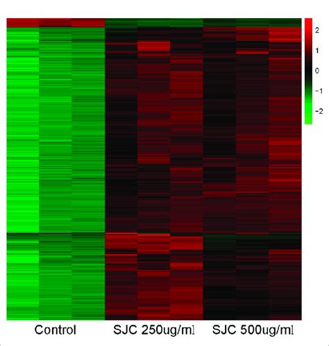 Heat Maps Of Differential Protein Expressions In The Control Group SJC