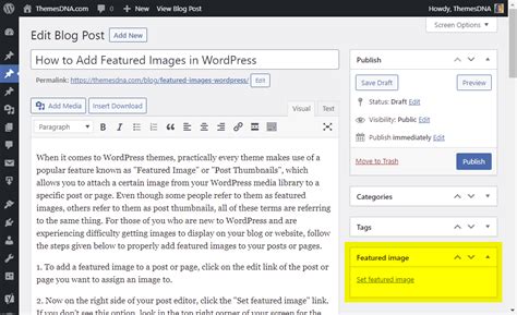 How To Add Featured Images In WordPress ThemesDNA