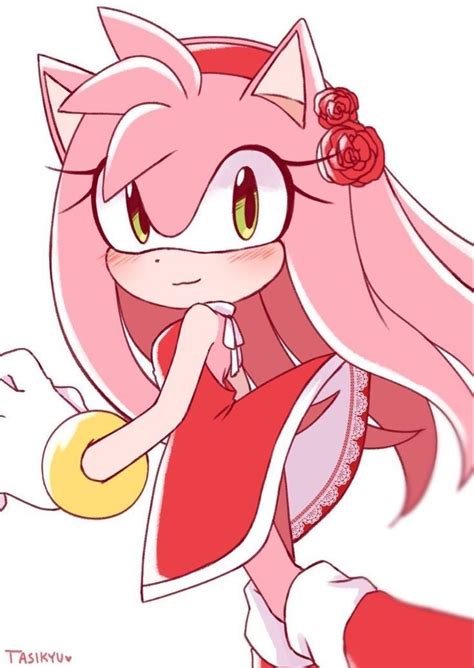Pin By Mario Sith On Amy Rose Amy Rose Hedgehog Ros Fanart Super