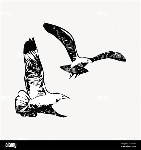 Flying Birds Drawing Illustration Vector Stock Vector Image Art Alamy