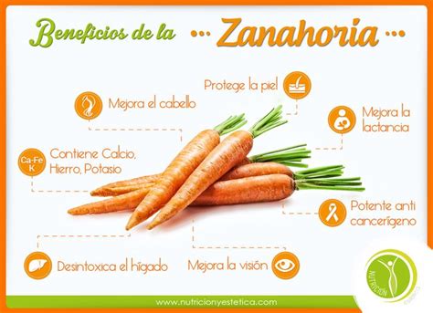 Beneficios De La Zanahoria Zanahoria Beneficios De Las Verduras