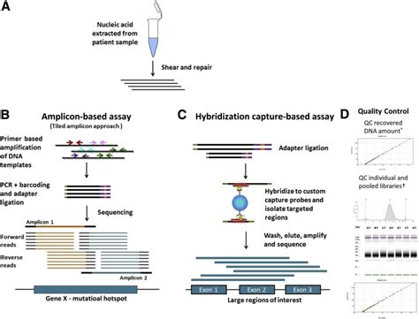 guidelines for validation of next generation sequencing based oncology panels the journal of