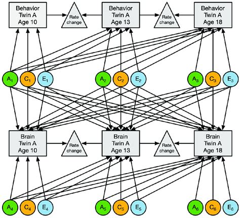 longitudinal structural equation model applied to the longitudinal data download scientific