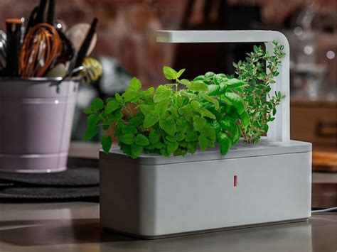 Smart Plant Growing System Lets You Grow Plants With No Maintenance