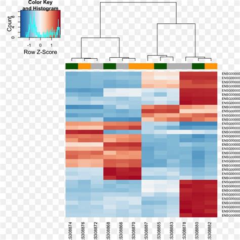RNA Seq Gene Expression Heat Map Principal Component Analysis PNG