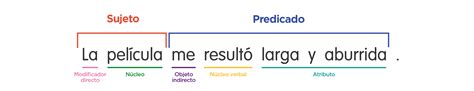 Elementos De La Oraci N Explicado Con Ejemplos The Best Porn Website