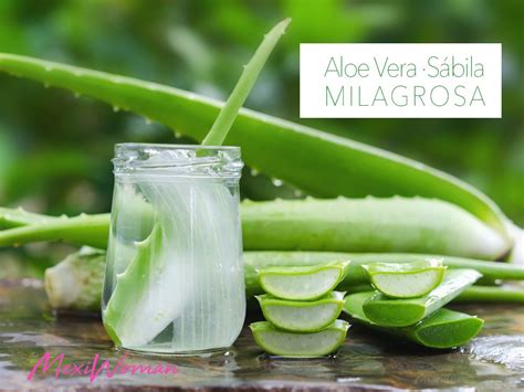 Conoce La Planta M S Milagrosa S Bila Mexiwoman